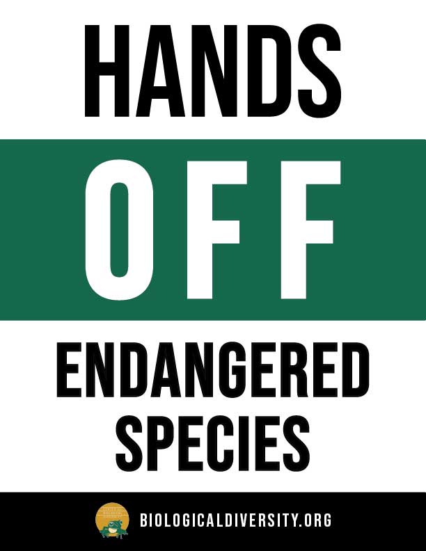 Hands Off! Rallies
