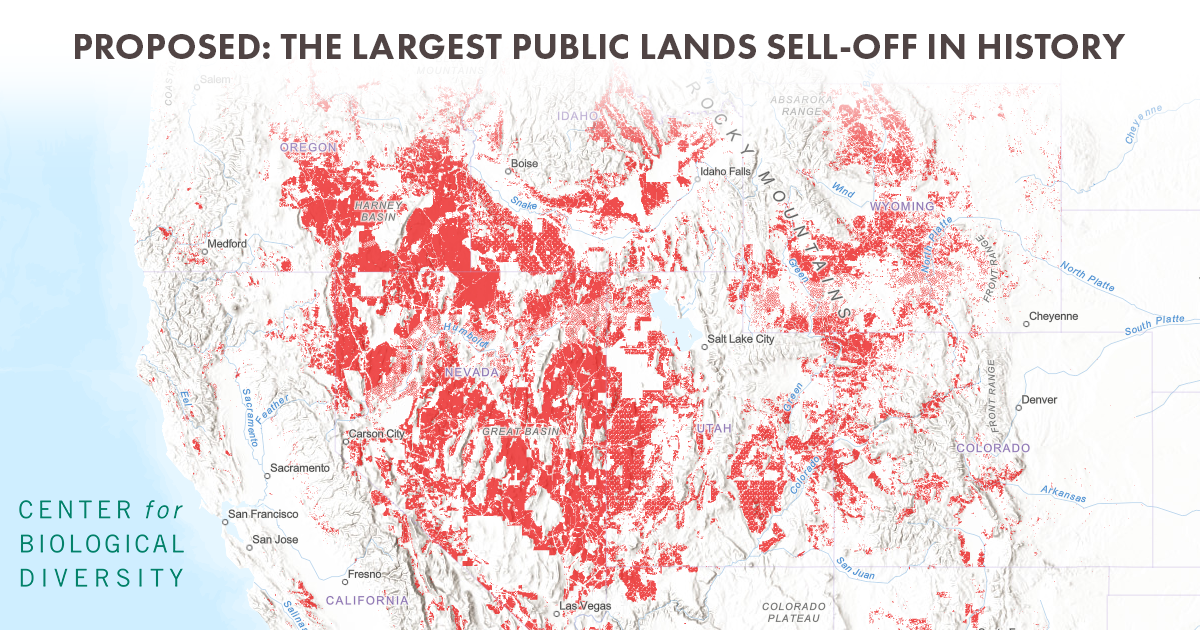 Hands Off Public Lands
